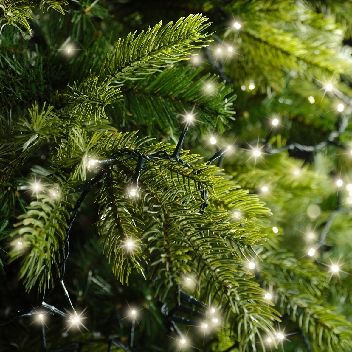 LED Compact Lights 8 Function Twinkle Effect Outdoor